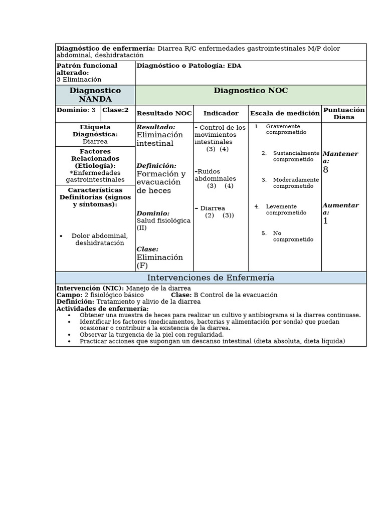 Formato NANDA, NIC Y NOC | PDF