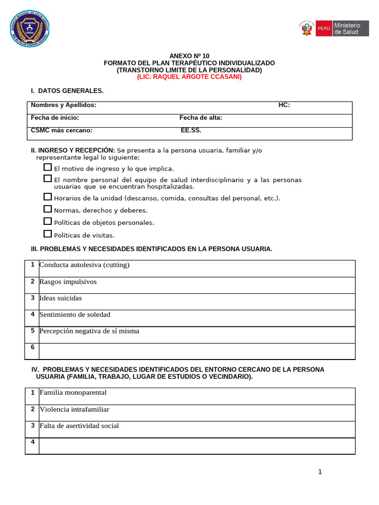 Formato Pti (Enfermeras) | PDF