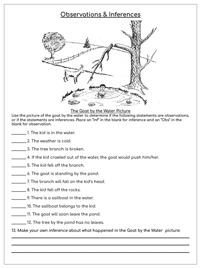 Printable Observation and Inferences For Notebook | PDF