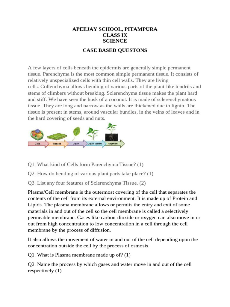 Case Based Questions | PDF