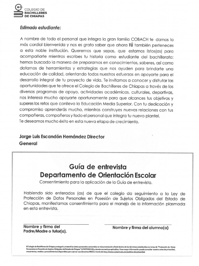Guía de Entrevista. 2024-2025a. Depto. de Orientación Escolar | PDF