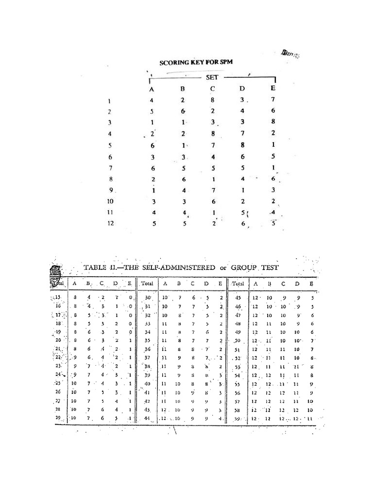 Raven's Progressive Metrics Scoring Manual | PDF