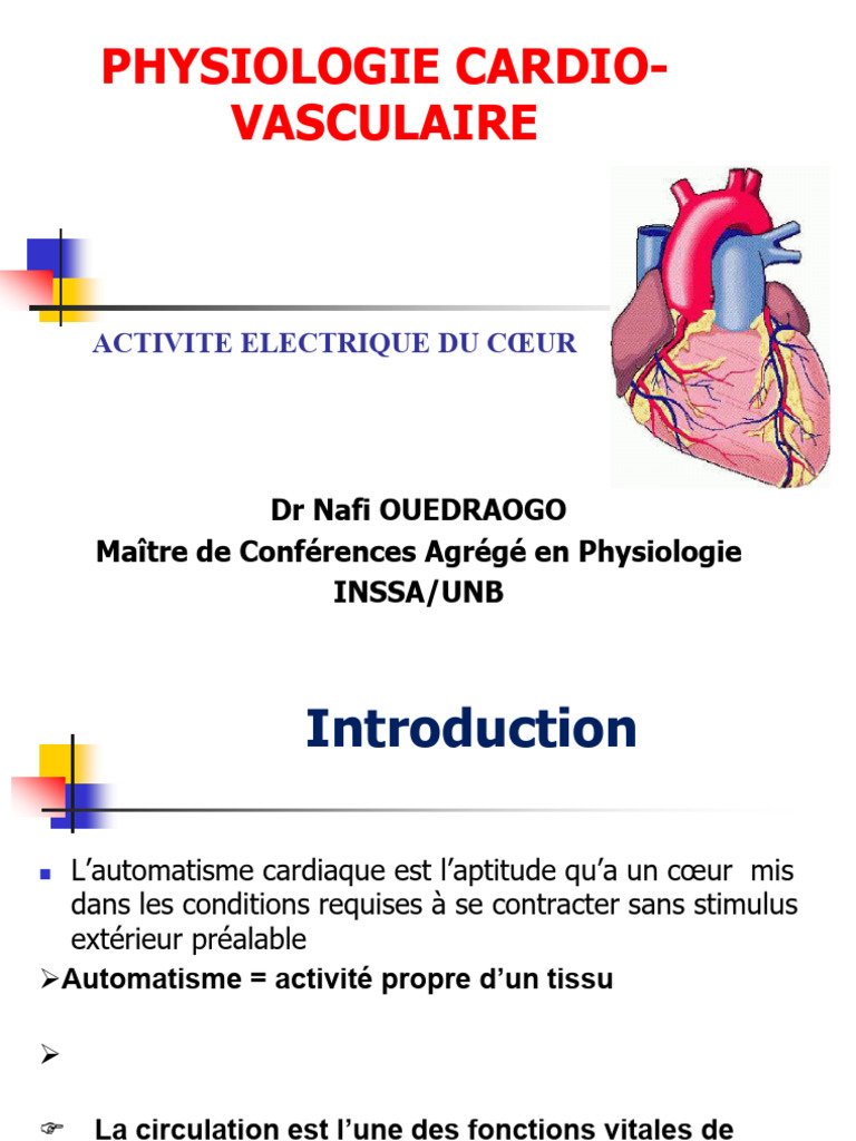 Automatisme cardiaque et tissu nodal | PDF | Électrocardiographie | Cœur