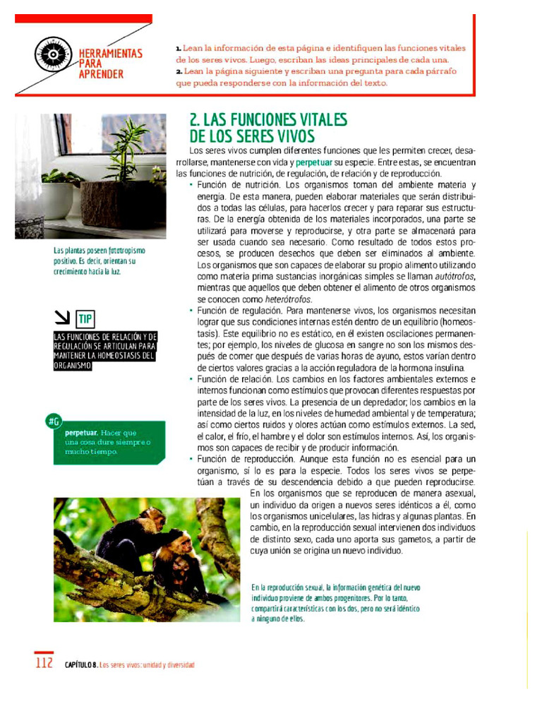 Las Funciones Vitales de Los Seres Vivos | PDF