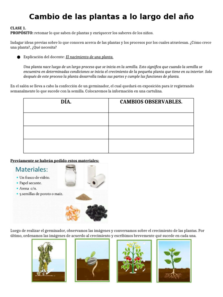 Cambios de Las Plantas, 3° | PDF