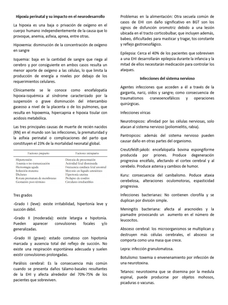 Neuro 2 | PDF