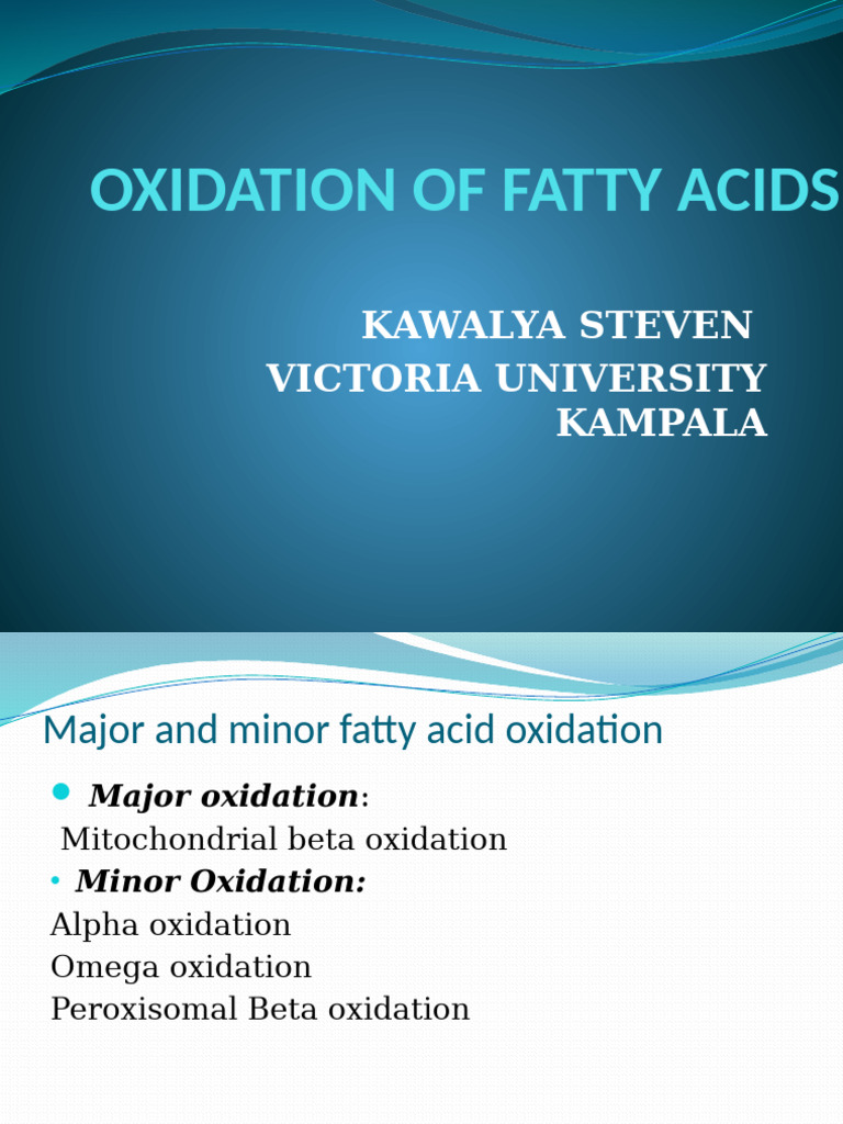 Beta Oxidation | PDF