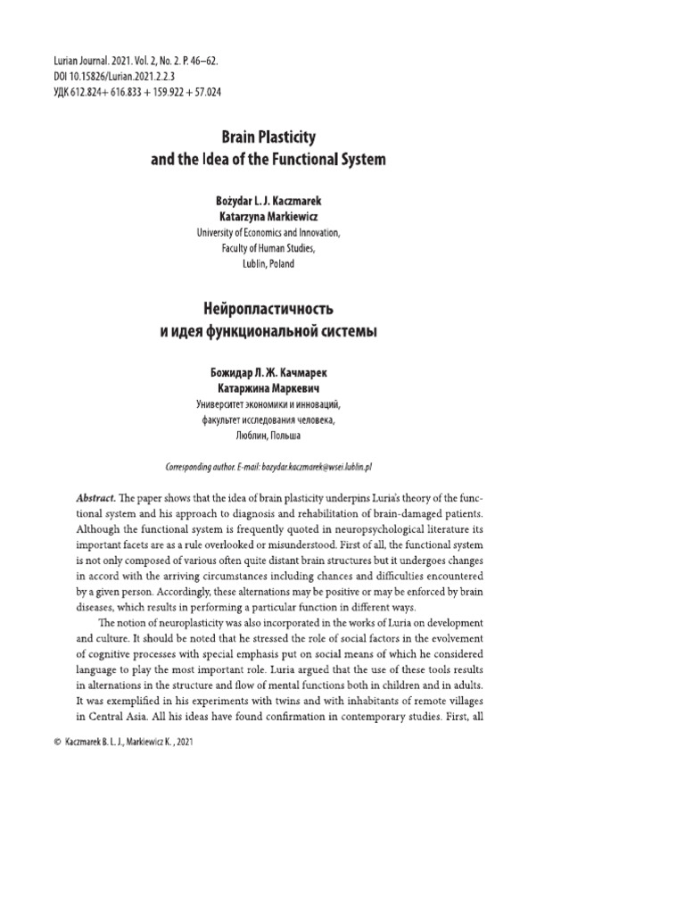 Brain Plasticity | PDF