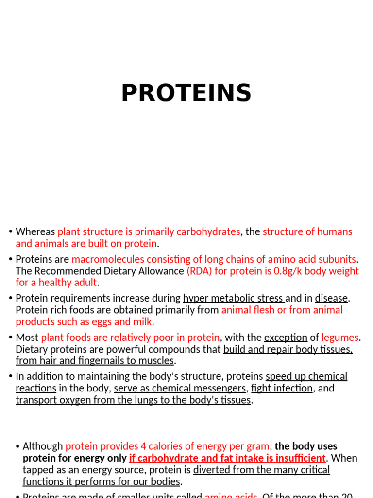Proteins | PDF