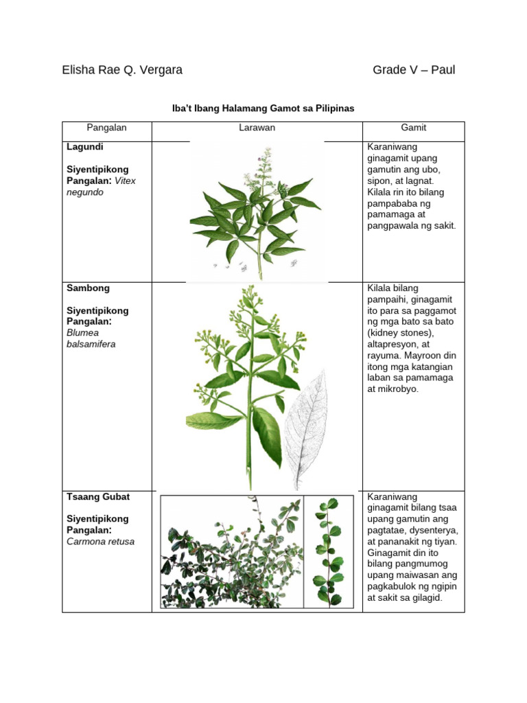 Herbal Tagalog | PDF