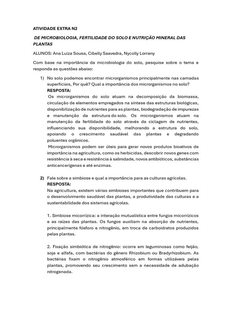 Atividade Extra N2 | PDF