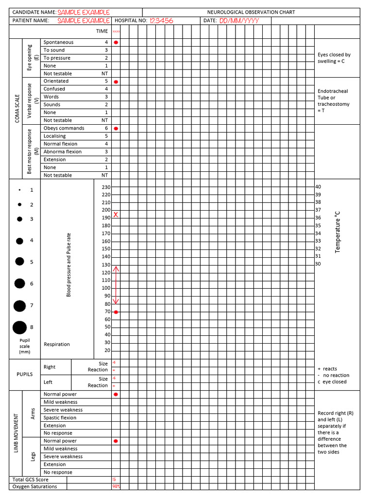 (EXAMPLE) Glasgow Coma Scale Neurological Observation Chart | PDF ...