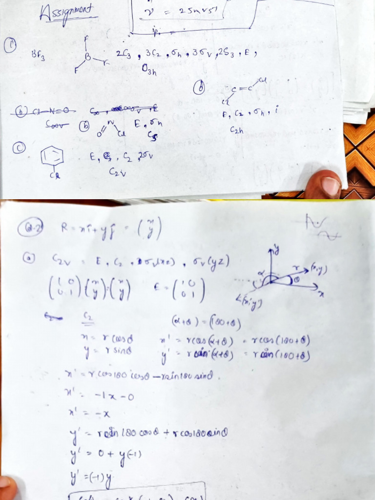 Group Theory Assignment 24 | PDF