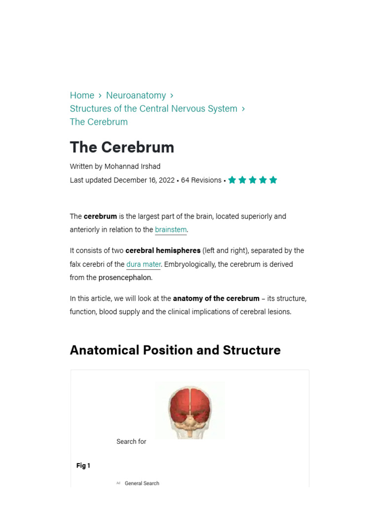 The Cerebrum - Lobes - Vasculature - TeachMeAnatomy | PDF