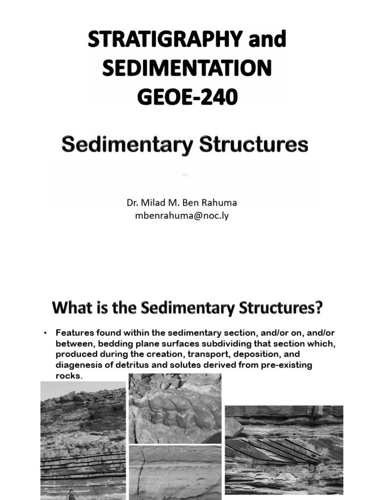 6 - Sedimentary Structures & Trace Fossils | PDF