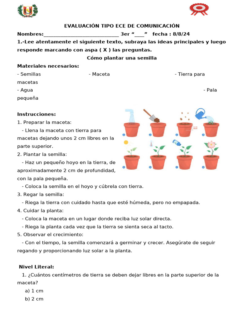 Evaluación Tipo Ece de Comunicación | PDF | Semilla | Plantas