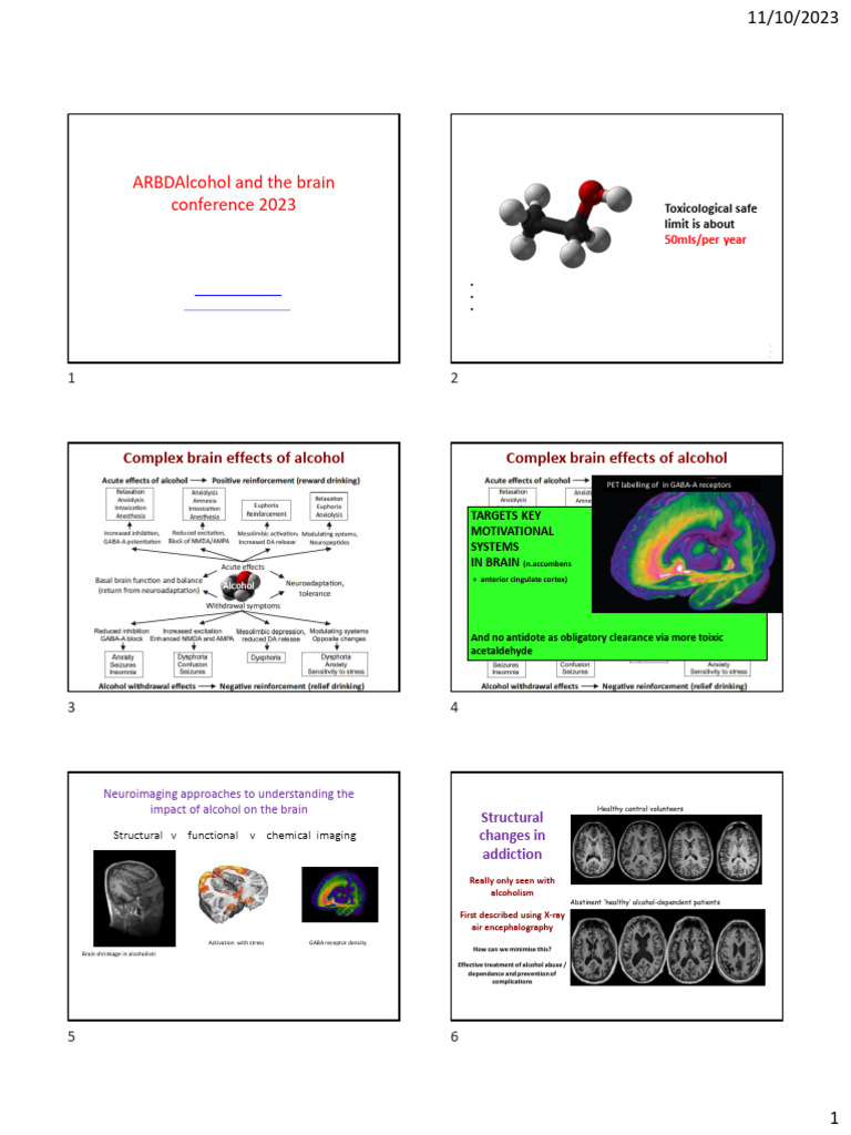 Alcohol and The Brain David Nutt | PDF