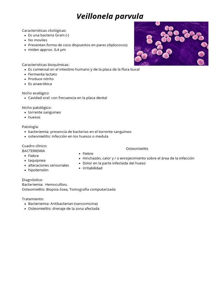 Veillonela Parvula 1 | PDF