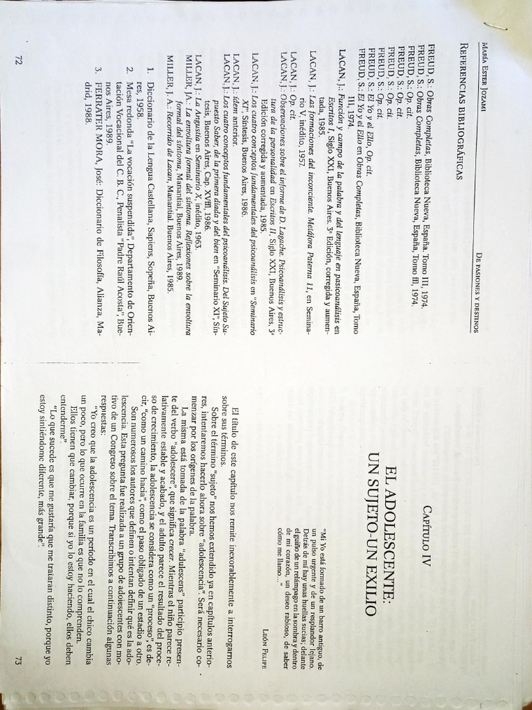 De Pasiones y Destinos - Jozami CAP IV | PDF