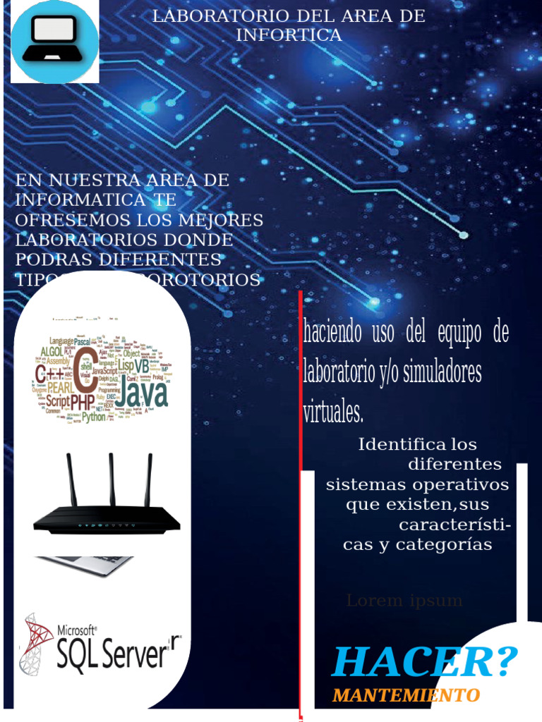 Revista Laboratorios de Informatica | PDF