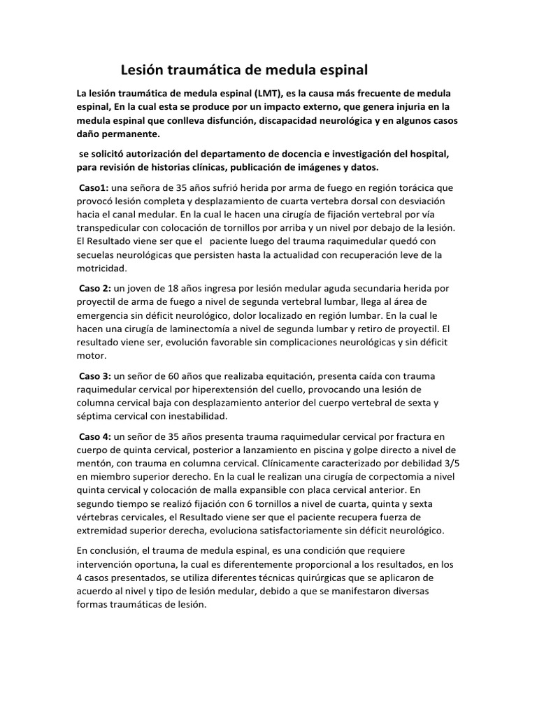 Resumen de Medula Espinal | PDF