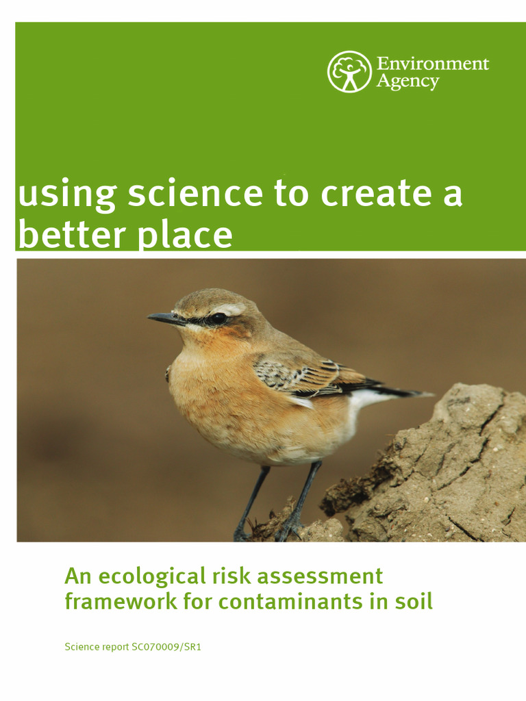 An Ecological Risk Assessment | PDF
