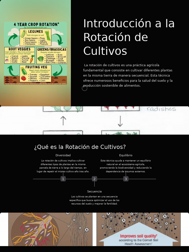 Rotacion de Cultivos | PDF | Agricultura | Hogar, jardinería y bricolaje