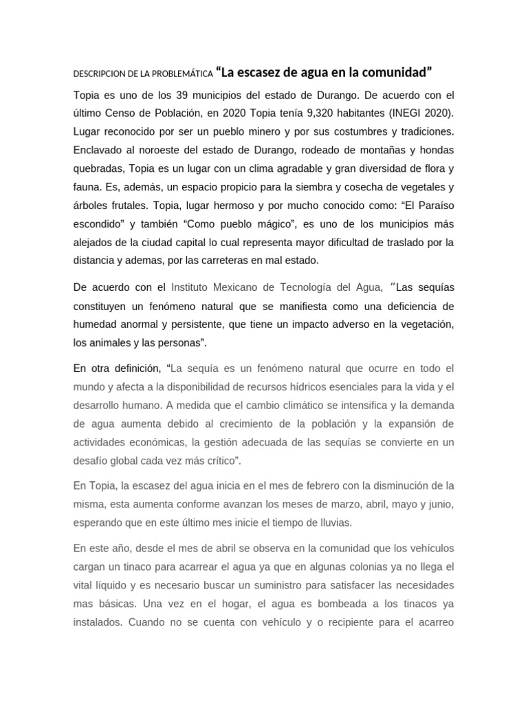 Descripcion de La Problemática | PDF