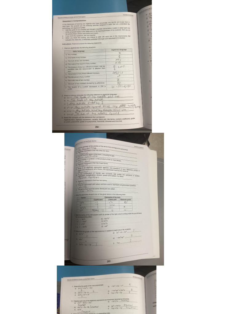 Math Portfolio Stage 1 | PDF