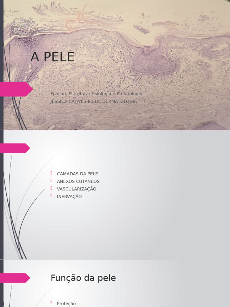 A Pele | PDF