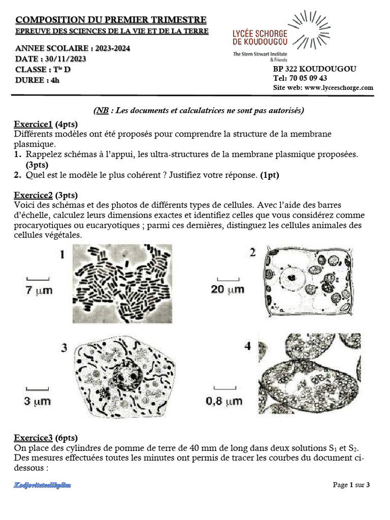 COMPO T1 DES SVT Tle D | PDF