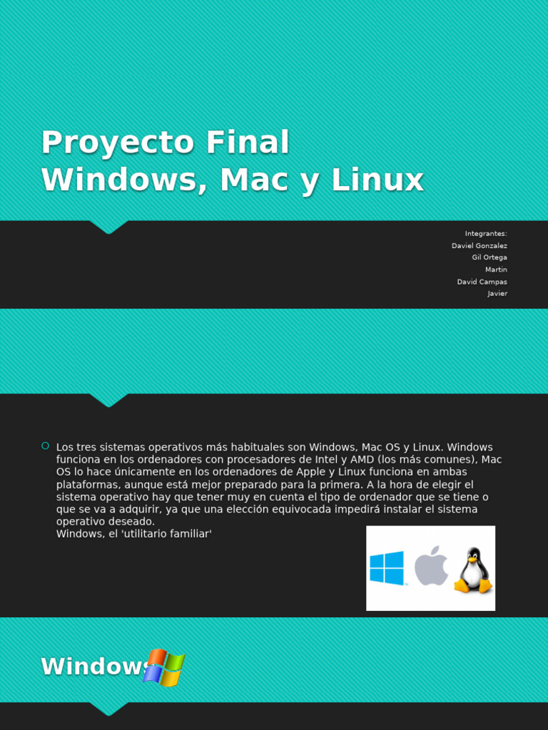 Proyecto Final | PDF