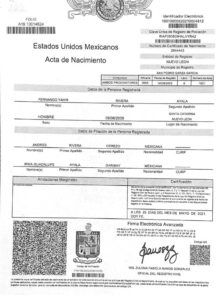 Documento | PDF