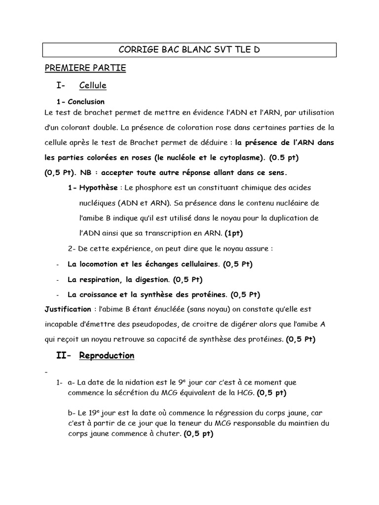 Corrigé BAC BLANC 2024 | PDF