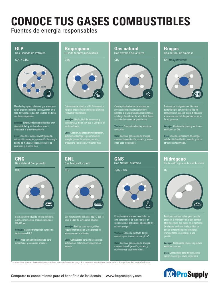 kcprosupply_types-of-gases_poster_a3_spa | PDF