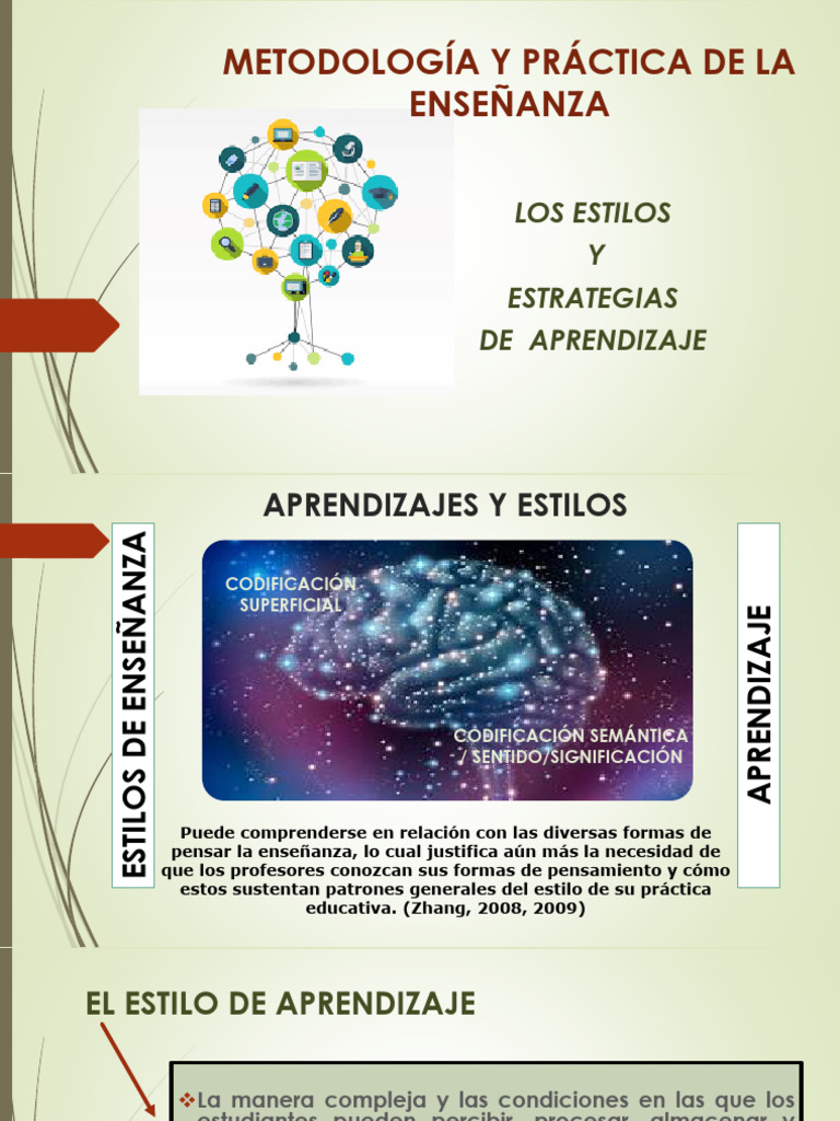 Clase Estilos de Aprendizajes | PDF | Aprendizaje | Cerebro