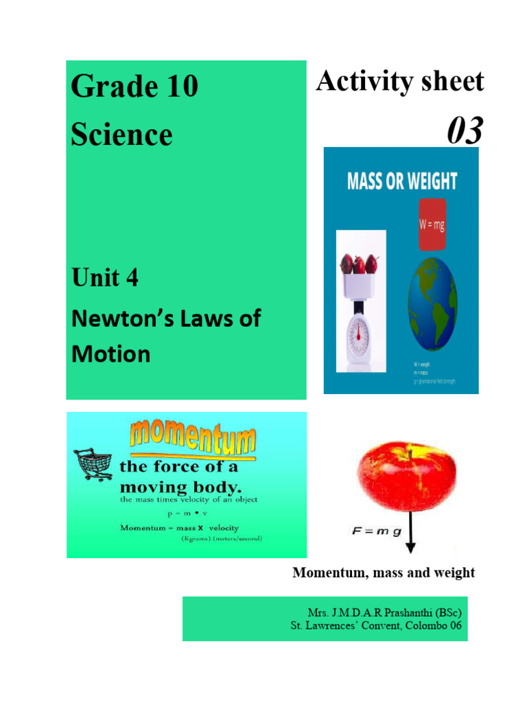 Unit 4 Activity 3 | PDF
