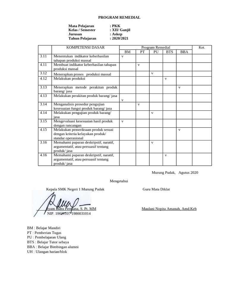 PROGRAM REMEDIAL | PDF
