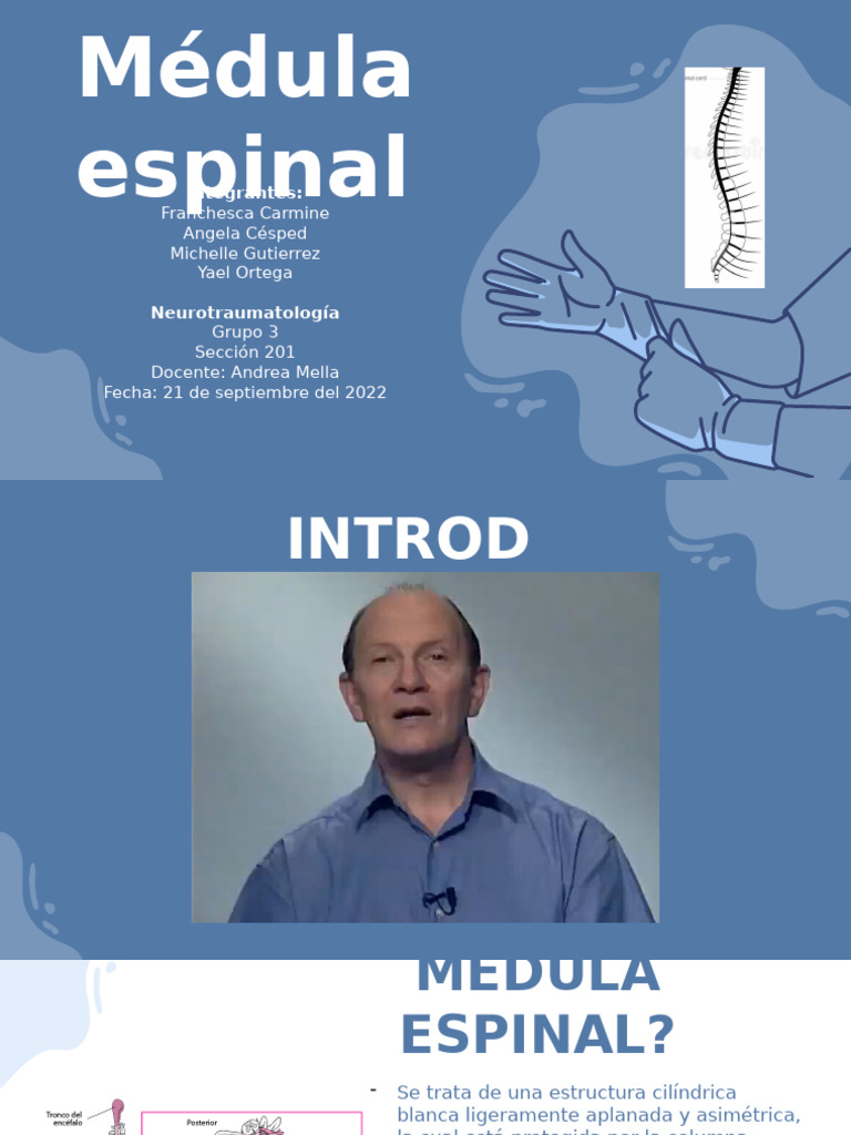 3 Medula Espinal Grupo 3 | PDF