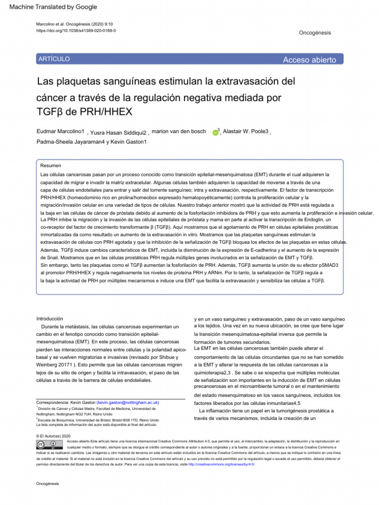 Blood Platelets | PDF