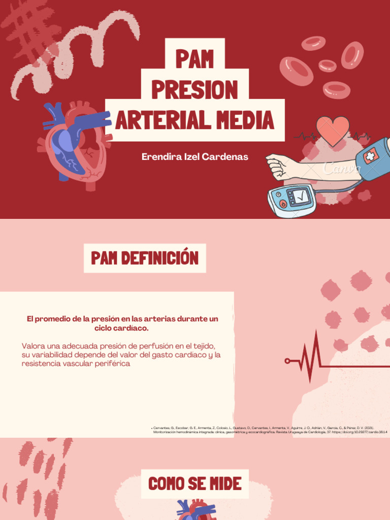 PAM Presion Arterial Media: Erendira Izel Cardenas | PDF | Self ...