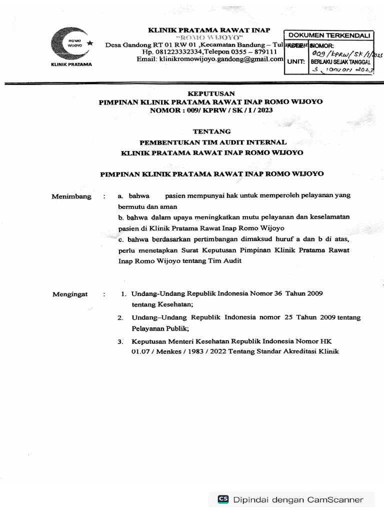 SK AUDIT REVISI | PDF