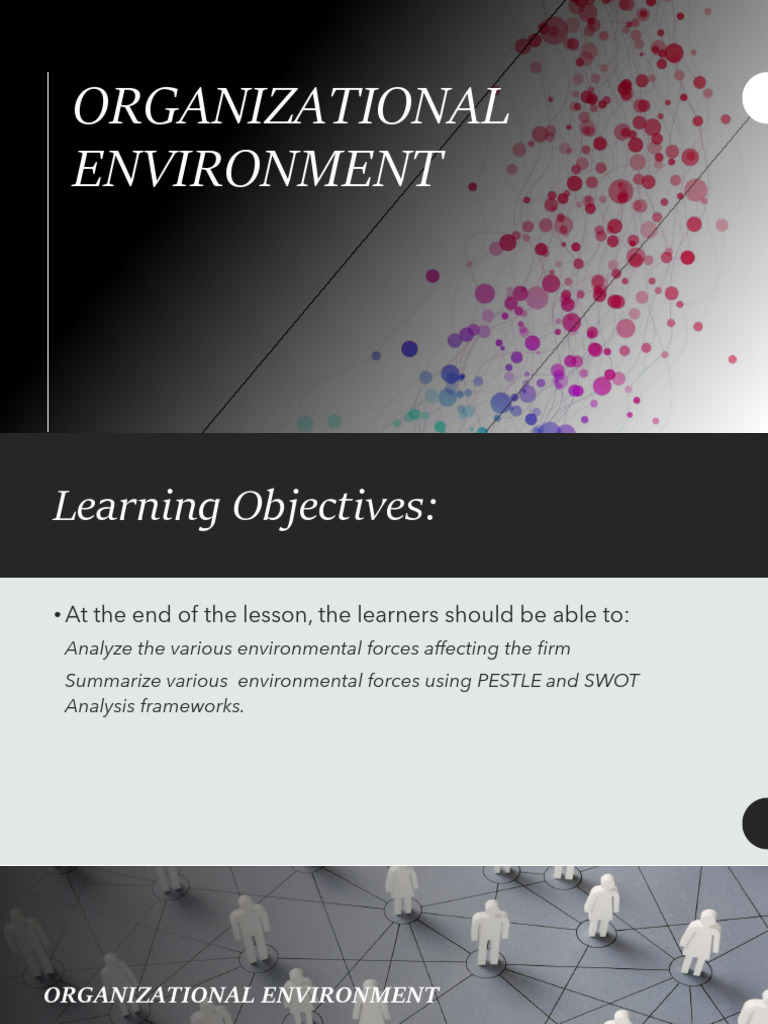 Organizational Environment Analysis | PDF