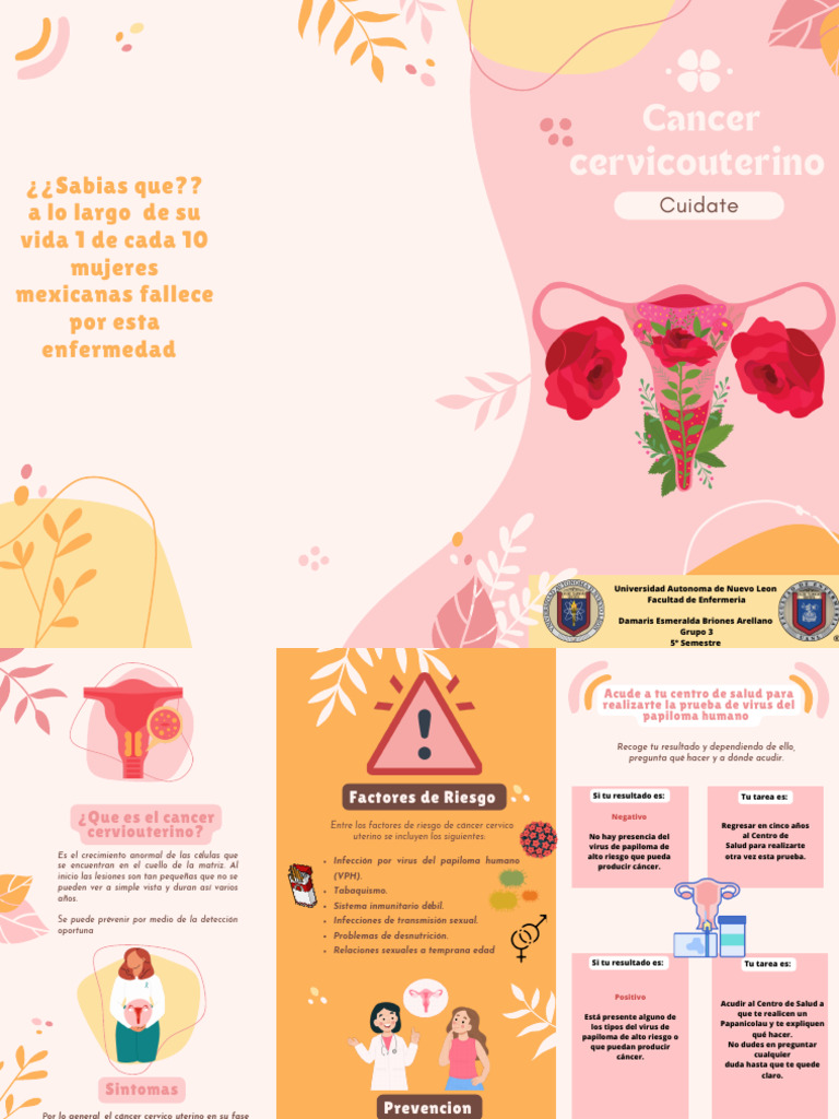 Tríptico de Cancer de Cervicouterino | PDF