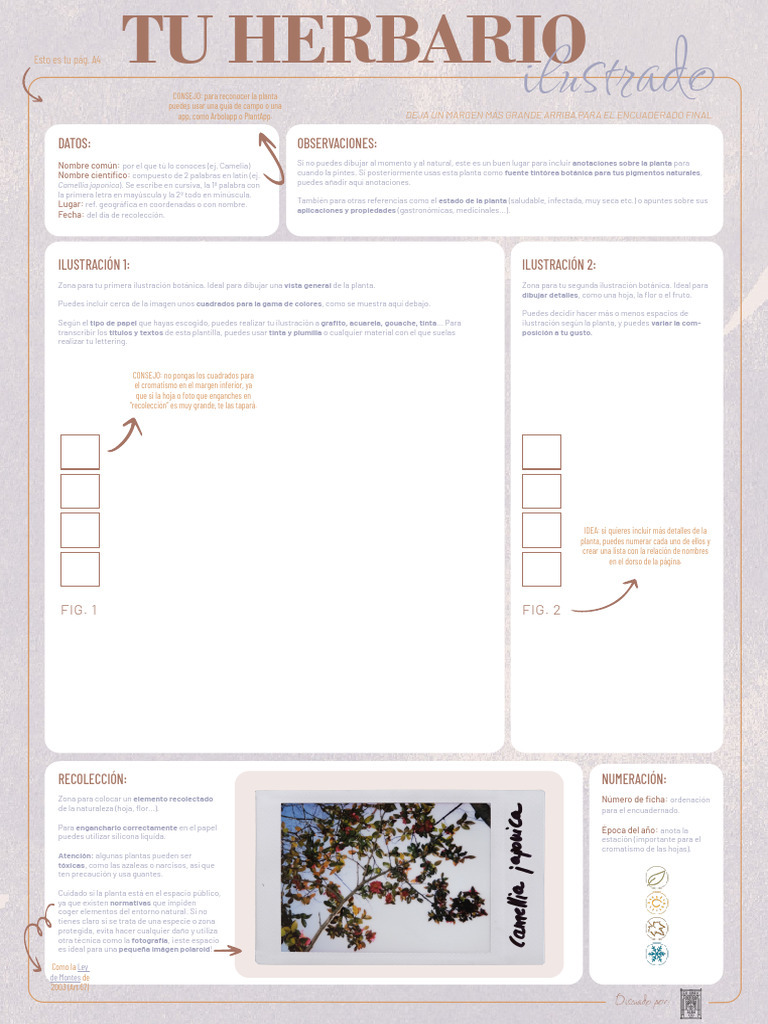 Plantilla para Diario Botánico | PDF | Botánica | Plantas