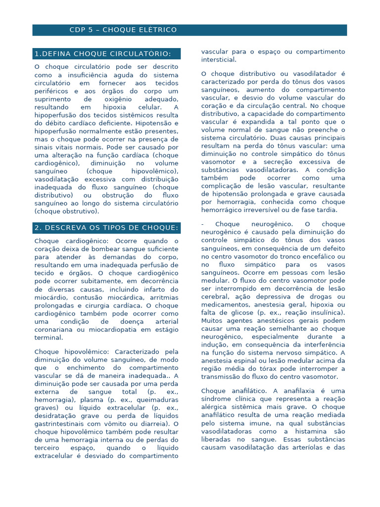 CDP 5 - Choque | PDF