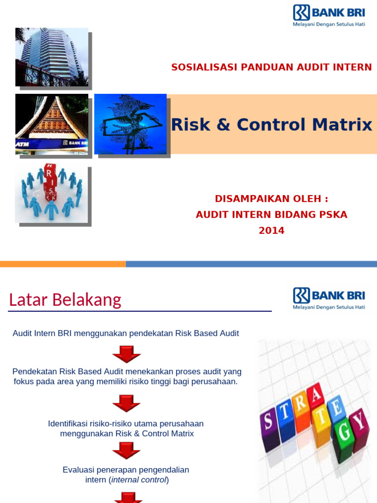 Risk & Control Matrix - Edit 080514 | PDF