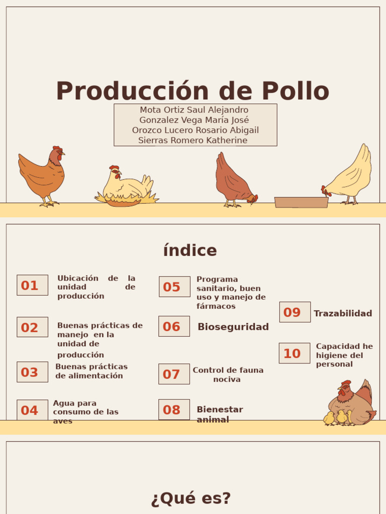 Presentación de Calidad-Pollo | PDF | Alimentos | Aves