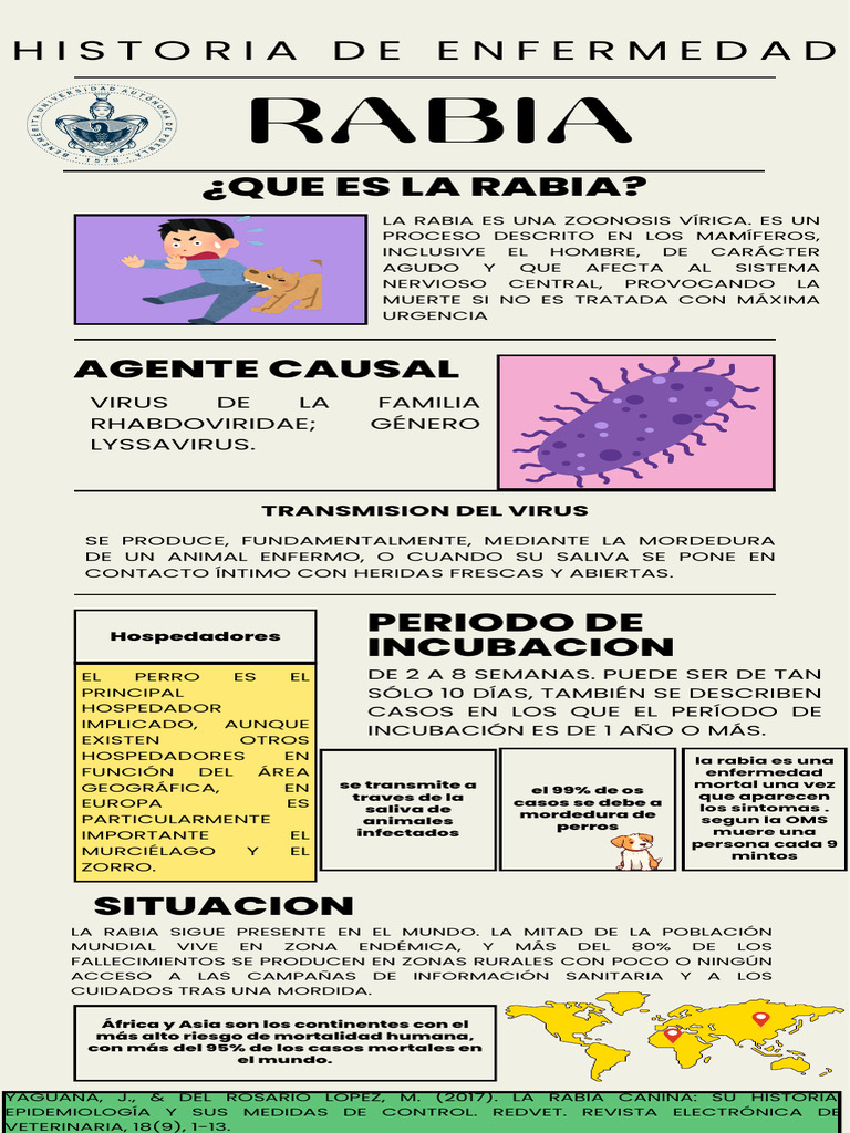 Historia de La Enfermedad de La Rabia | PDF