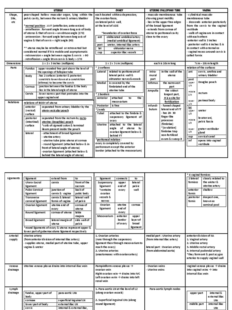 Anatomy of Female Genitalia | PDF | Uterus | Vagina